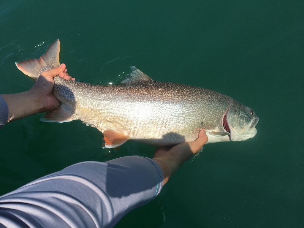 Fishing for Niagara River Lake Trout – Tie 1 On – Fishing